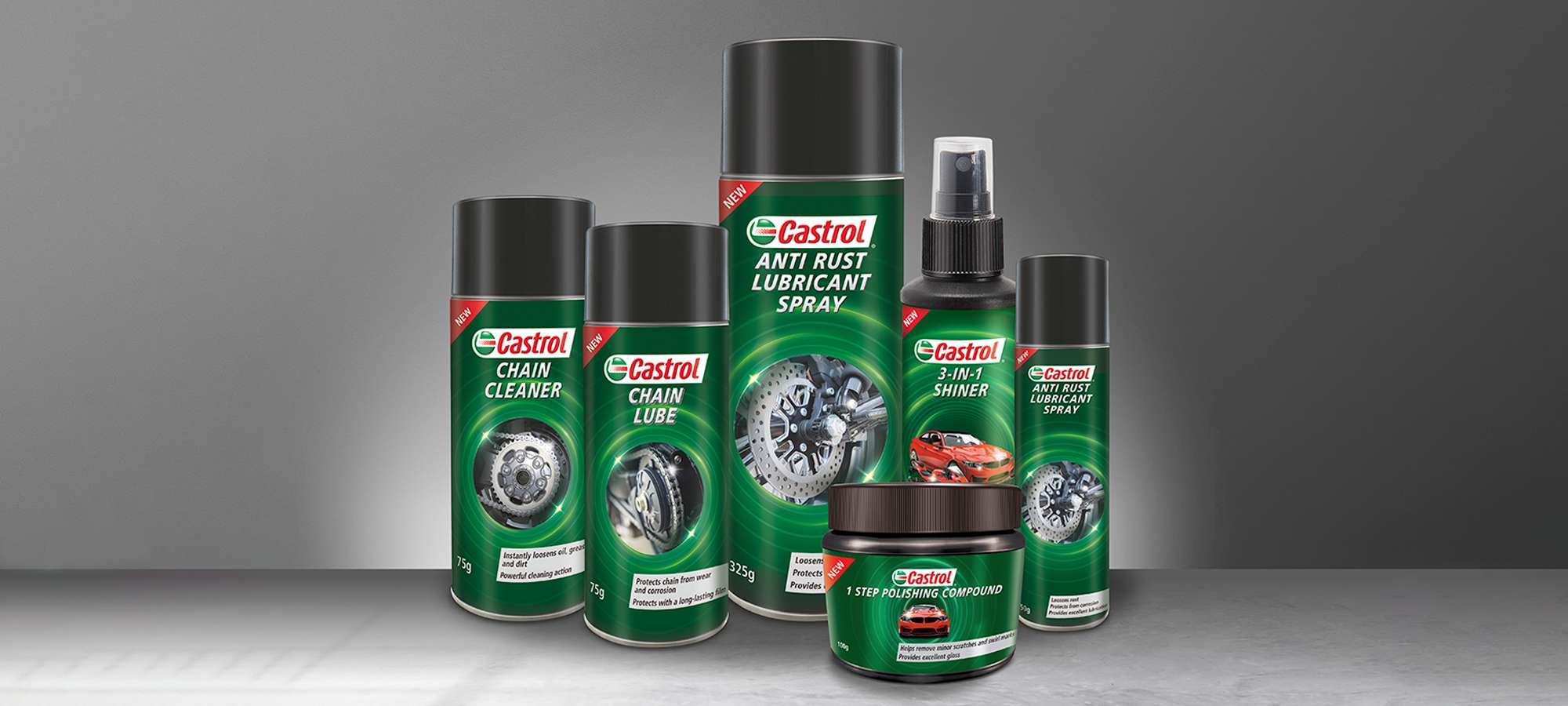 CASTROL INDIA