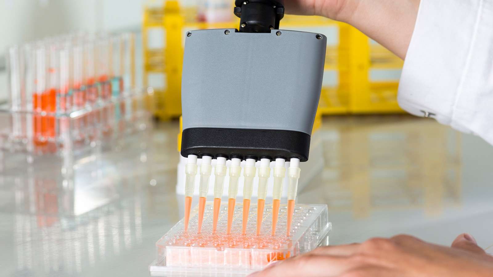 Transmission | Castrol India