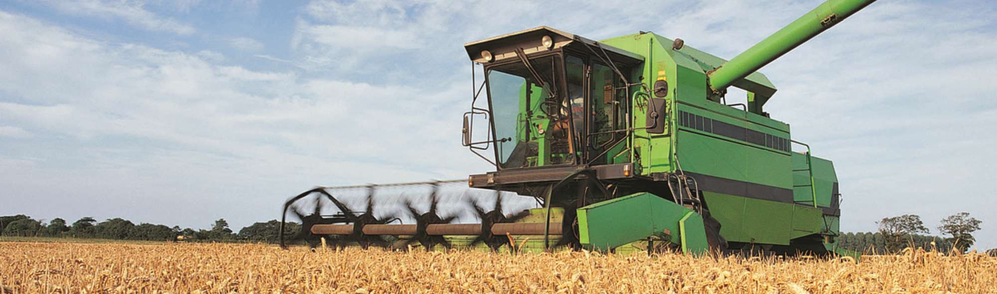 Rover Mini Reccomendations | BobIsTheOilGuy